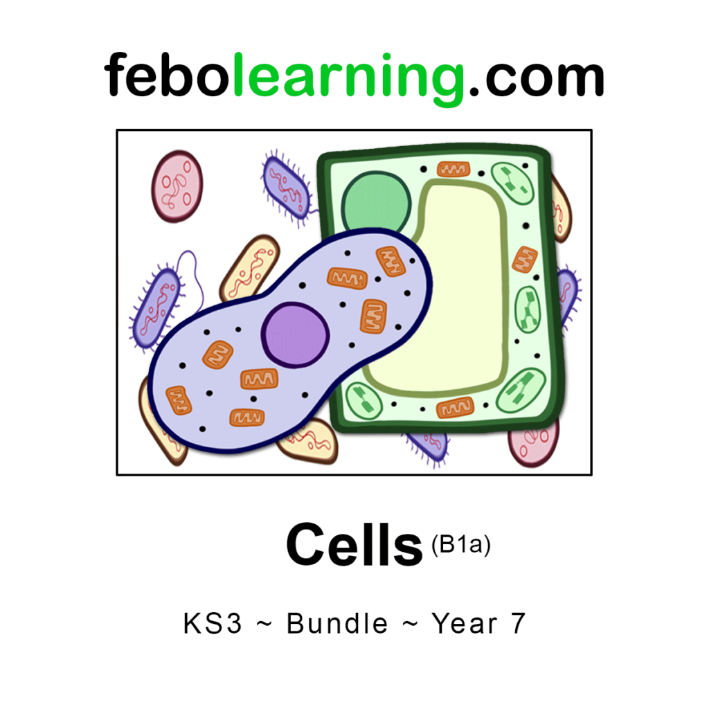 KS3 Biology: Cells Bundle Year 7 designed to accelerate Learning ...
