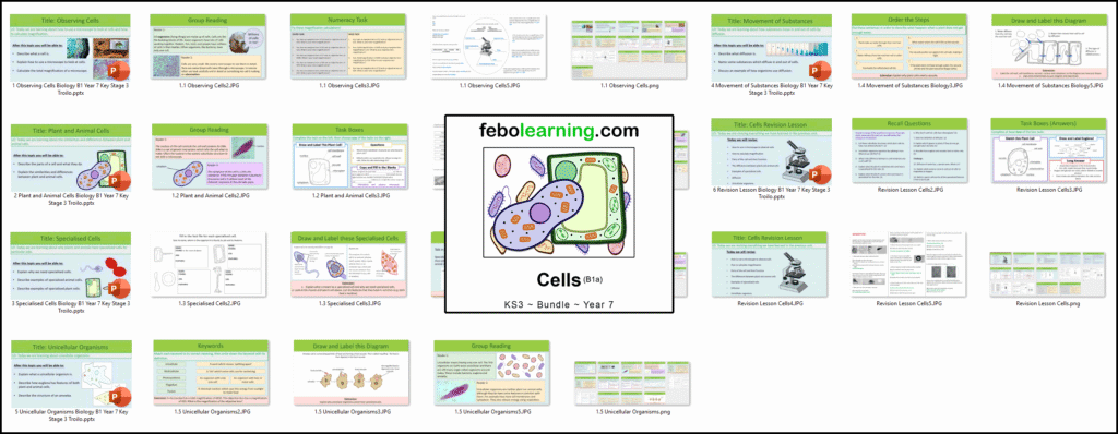 KS3 Biology: Cells Bundle Year 7 designed to accelerate Learning ...