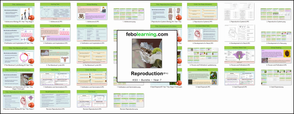 KS3 Biology: Reproduction Bundle Year 7 Lessons and Resources ...