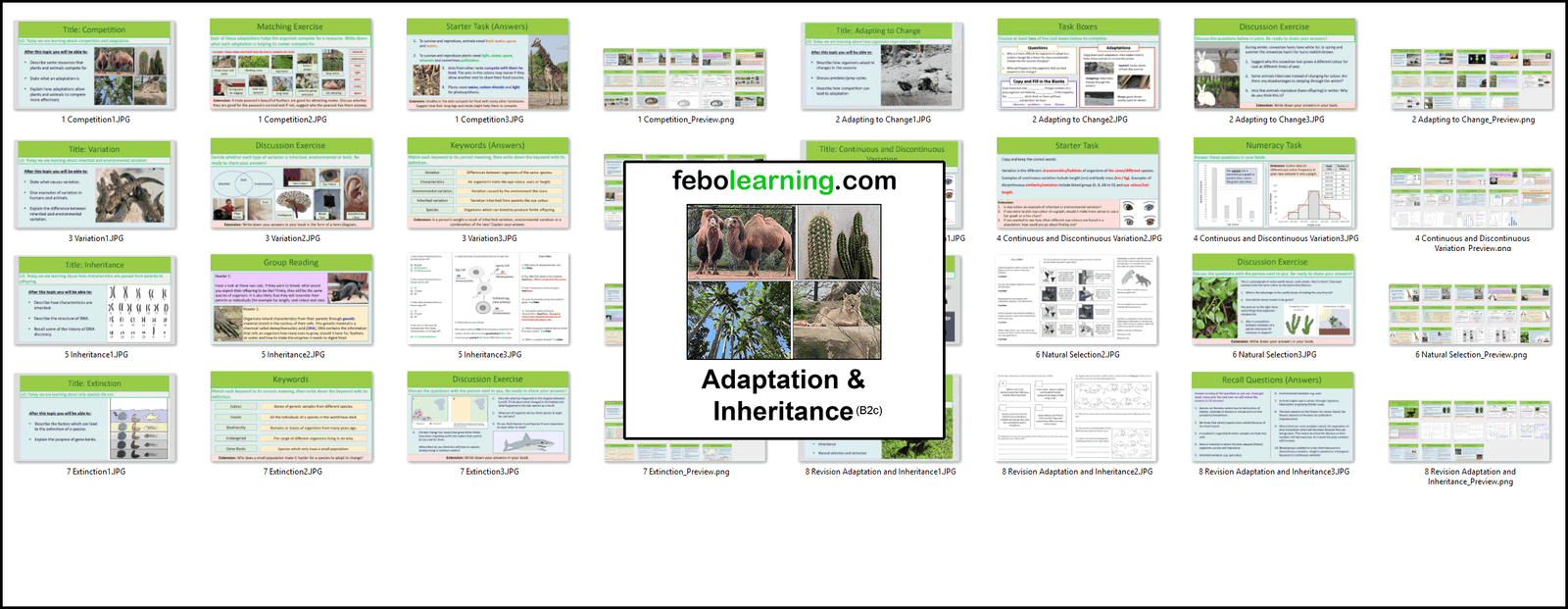 KS3 Biology: Adaptation and Inheritance Bundle Year 8 - No Prep ...