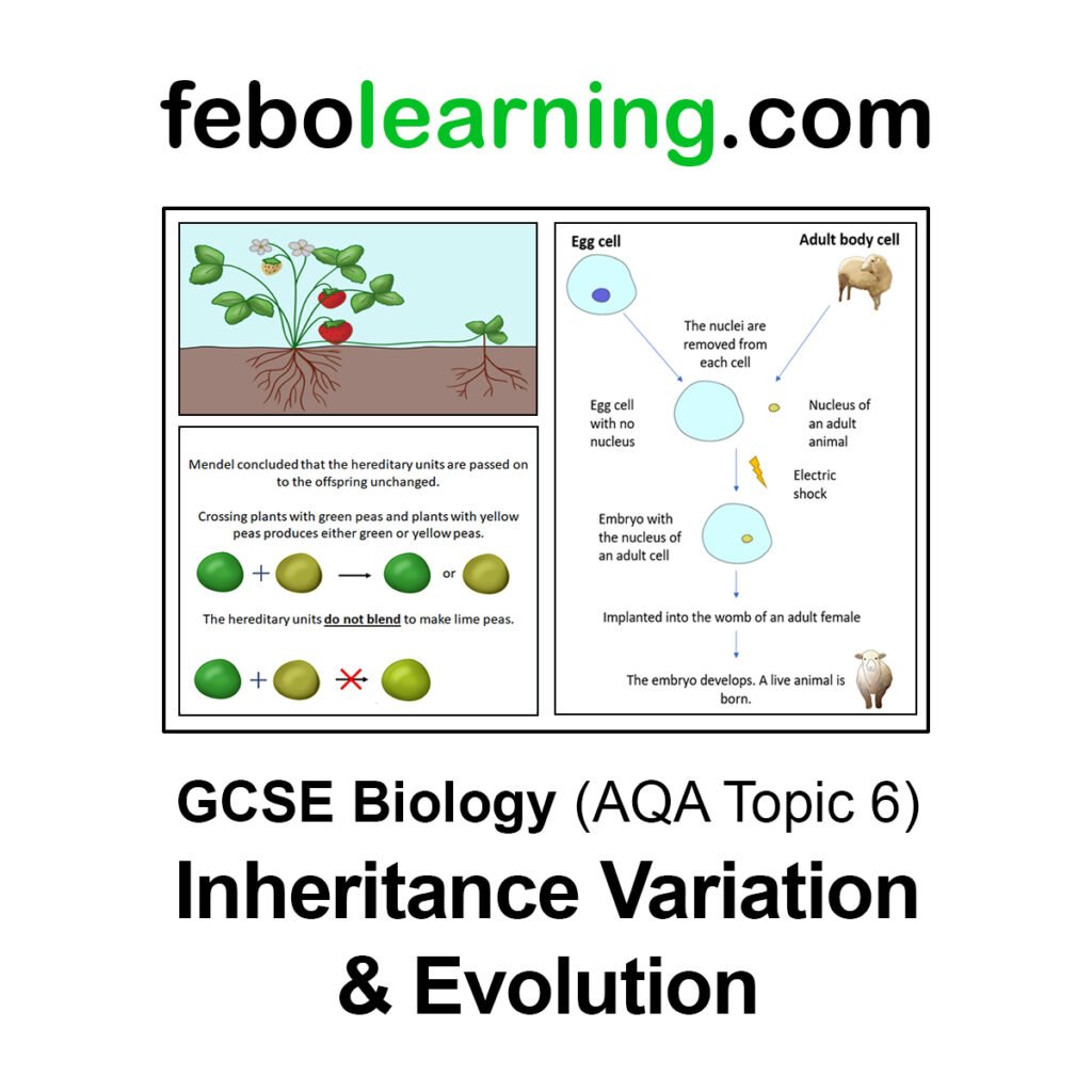 GCSE Biology AQA Topic 6 Inheritance Variation and Evolution Full ...