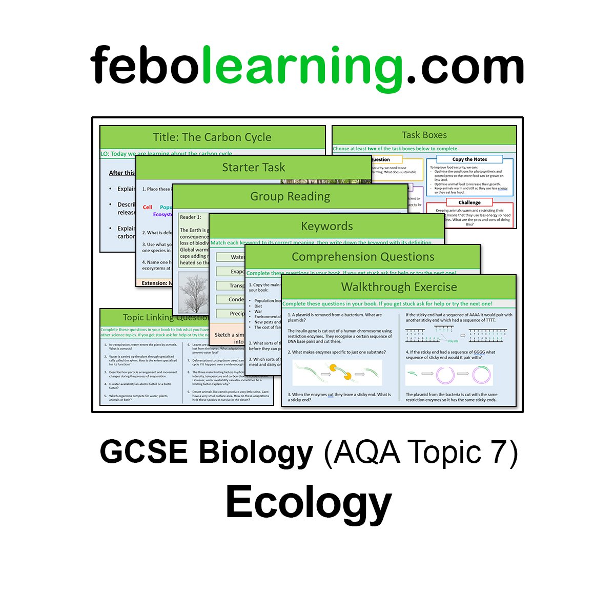 GCSE Biology: Topic 7 Ecology Lessons and Revision Worksheets ...