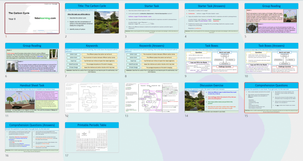 Year 8 Chemistry: The Carbon Cycle complete lesson with Activities ...