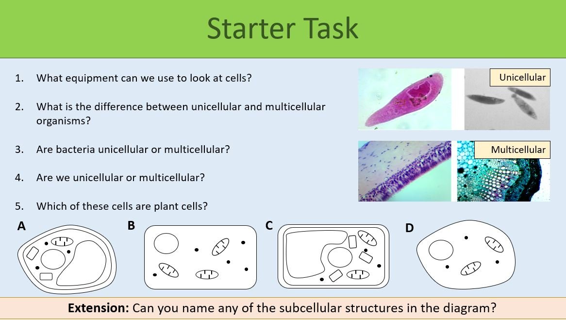 GCSE Biology Topic 1 Cells: Cell Structure - febolearning.com