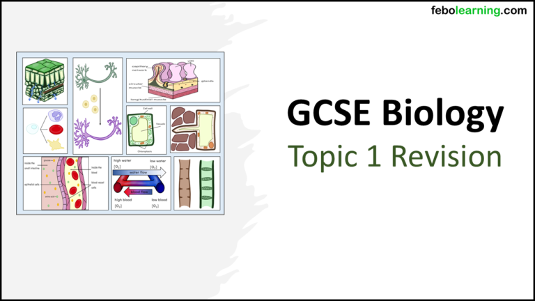 GCSE Biology Topic 1 Cells: Revision - febolearning.com
