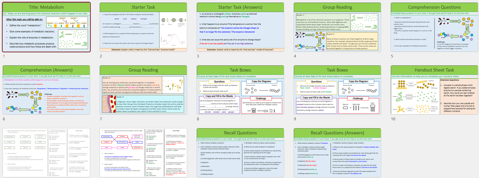 GCSE Biology Topic 4: Metabolism Lesson