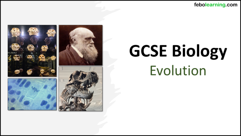 GCSE Biology Topic 6: Evolution - febolearning.com