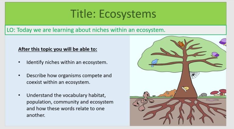 Year-8 Biology Ecosystems: Ecosystems