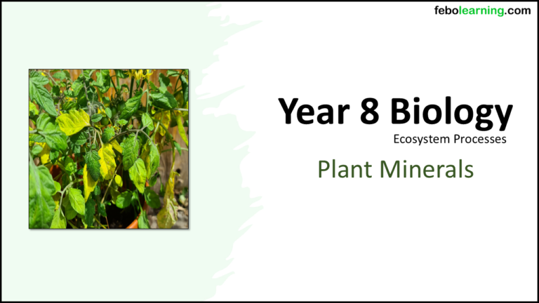 Year-8 Biology Ecosystems: Plant Minerals
